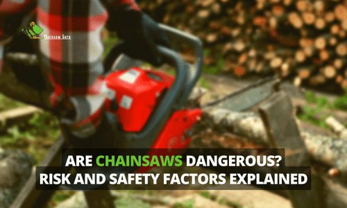 Are Chainsaws Dangerous? The Dos and Don'ts [2025]