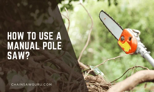 How to Use a Manual Pole Saw?
